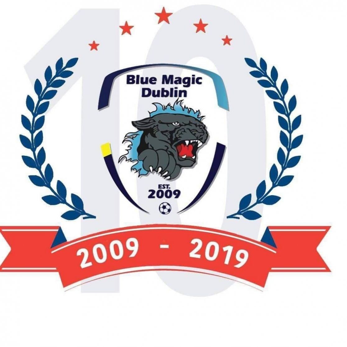 Blue Magic Futsal Dublin Ireland's representative club for the UEFA ...